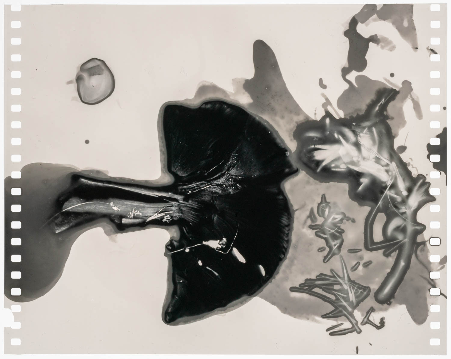 Photochemical Alchemy in Sub-Arctic Finland | Sam Nightingale