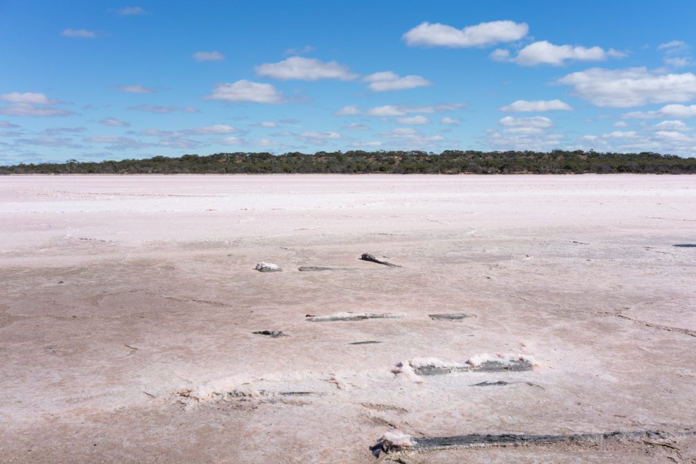 A couple of talks on salt | Sam Nightingale