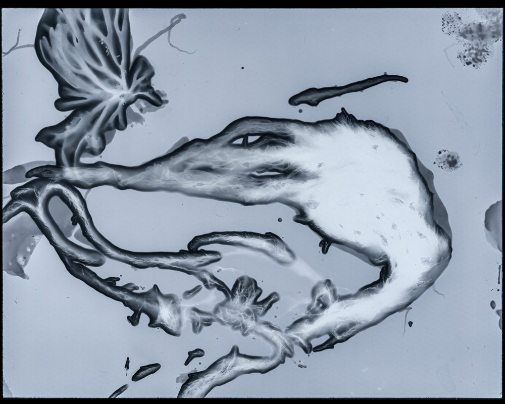 NEWS | Sam Nightingale